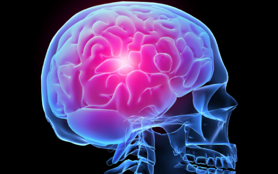 Brain Iron Could Be ADHD Biomarker | Consultant360