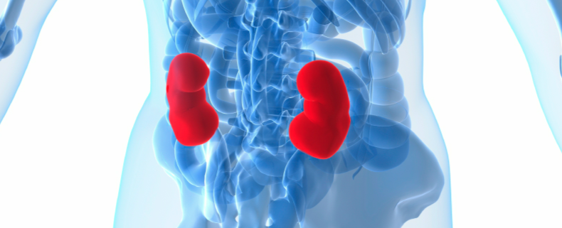 Chronic Kidney Disease Risk Elevated by PPI Use | Consultant360