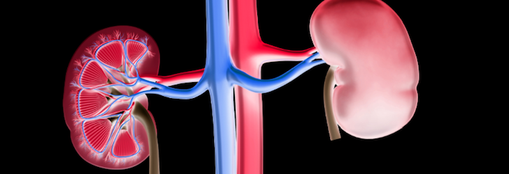 Low Kidney Function Linked to ASCVD Risk | Consultant360