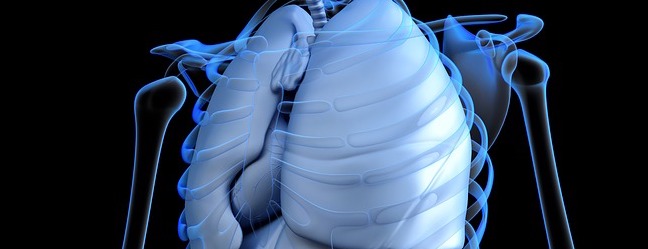 Pulmonary Embolism Rule Out Criteria Is Safe For Low Risk Patients