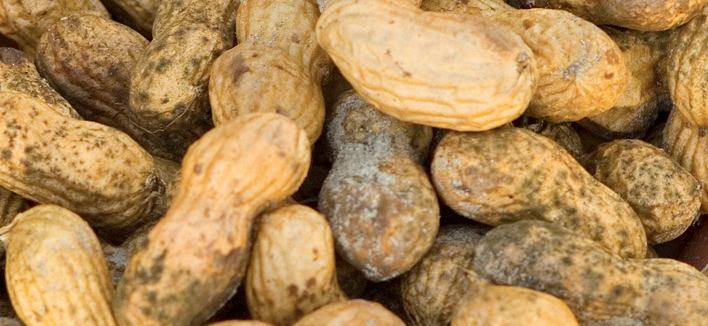 Novel Peanut Allergy Test Is More Accurate, Cost-Effective Than Current ...