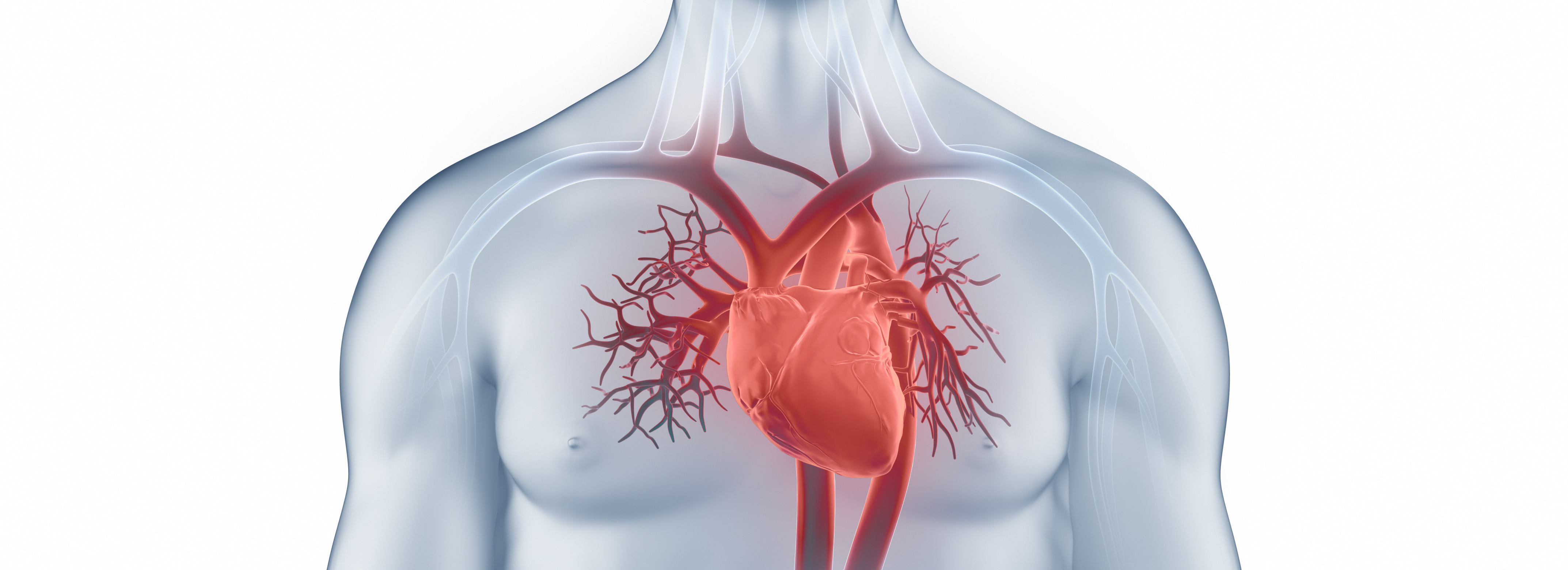 A Stable Childhood May Lead to a Healthy Adult Heart | Consultant360