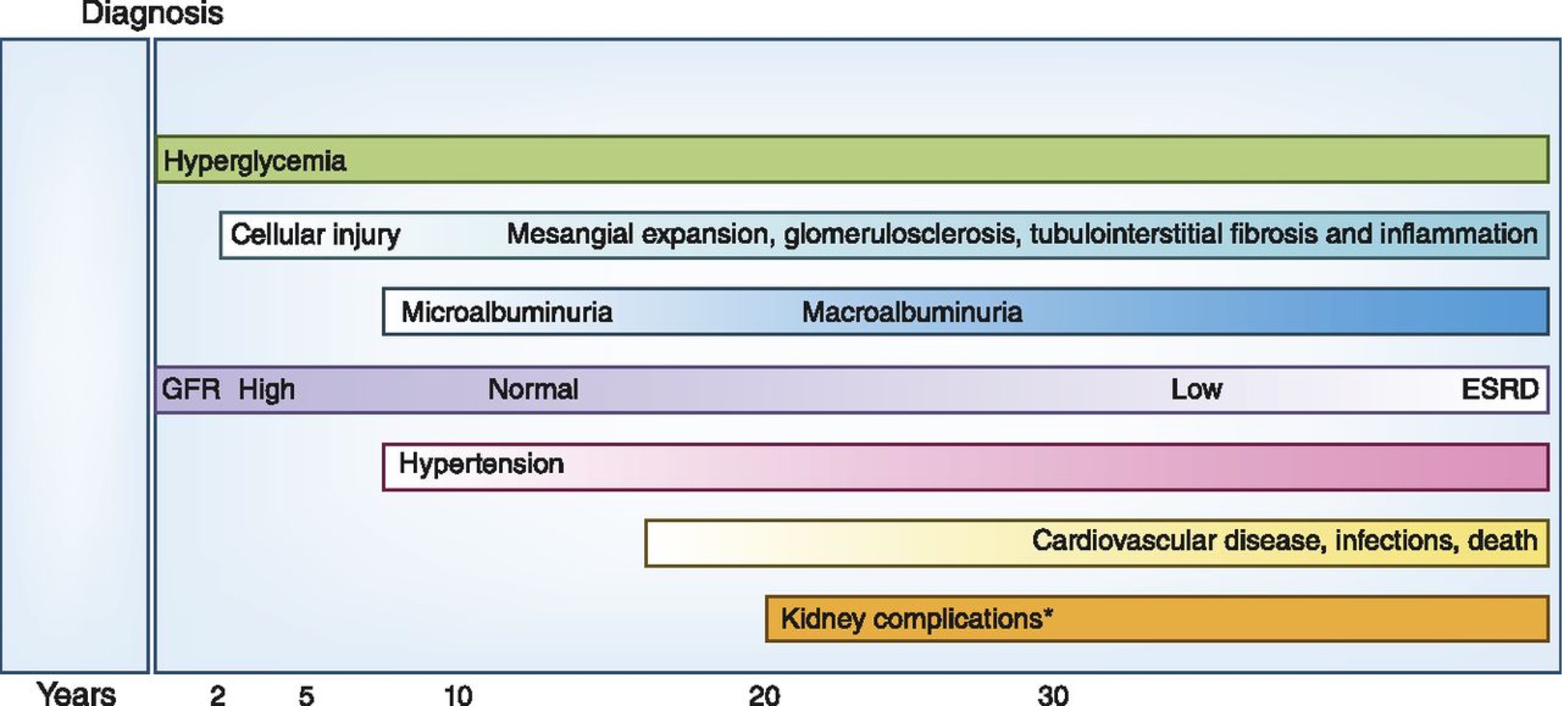 Chronic Kidney Disease Management: Where Are We? | Consultant360