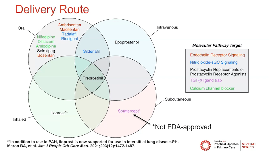 PAH, CTEPH Diagnosis and Treatment Updates for Primary Care | Consultant360
