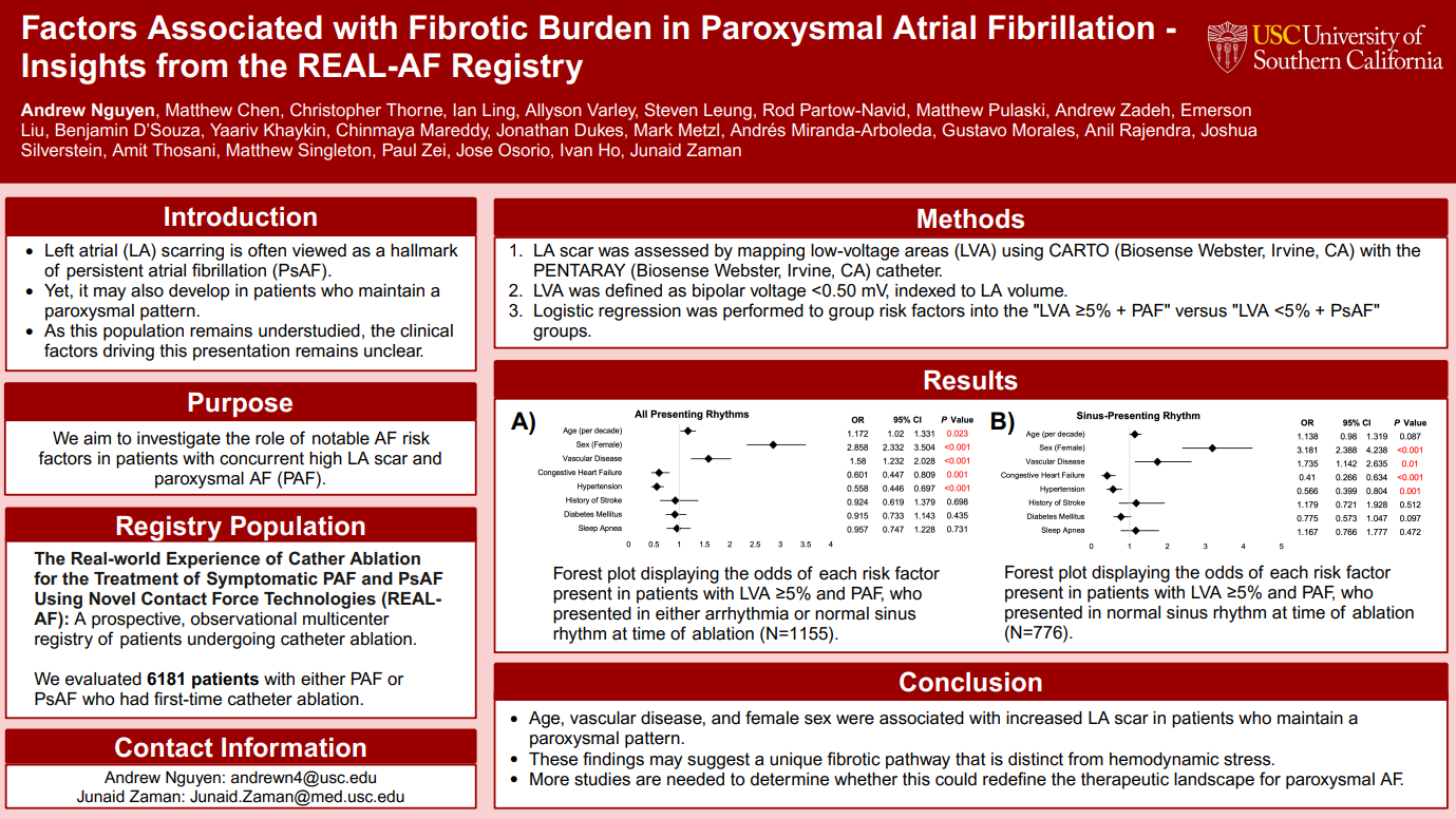 Factors Associated with Fibrotic Burden in Paroxysmal Atrial ...