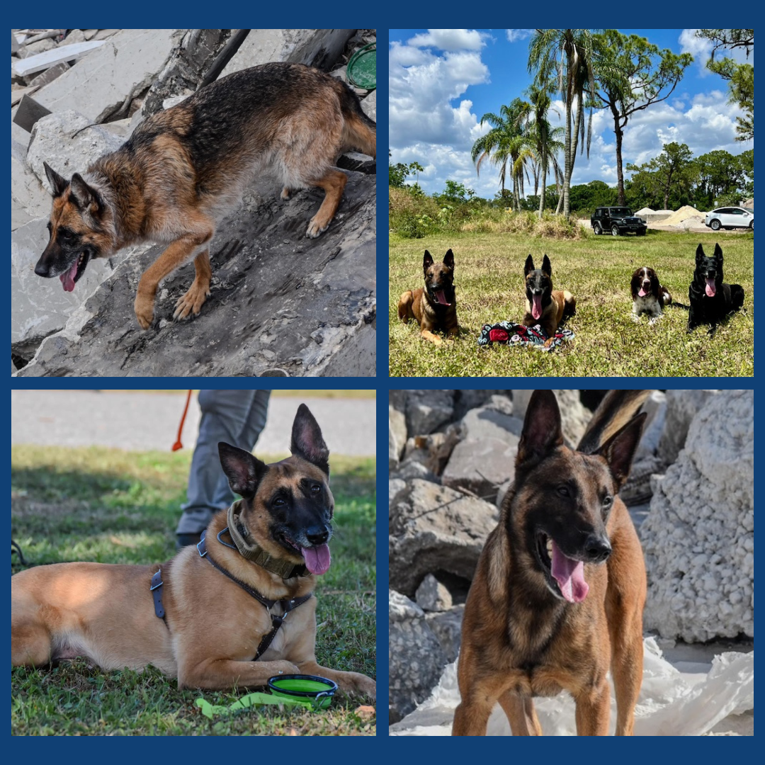 Sarasota K9 Search and Rescue Aids First Responder Efforts
