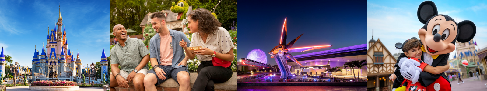 Disney Tickets | Psych Congress PA Institute